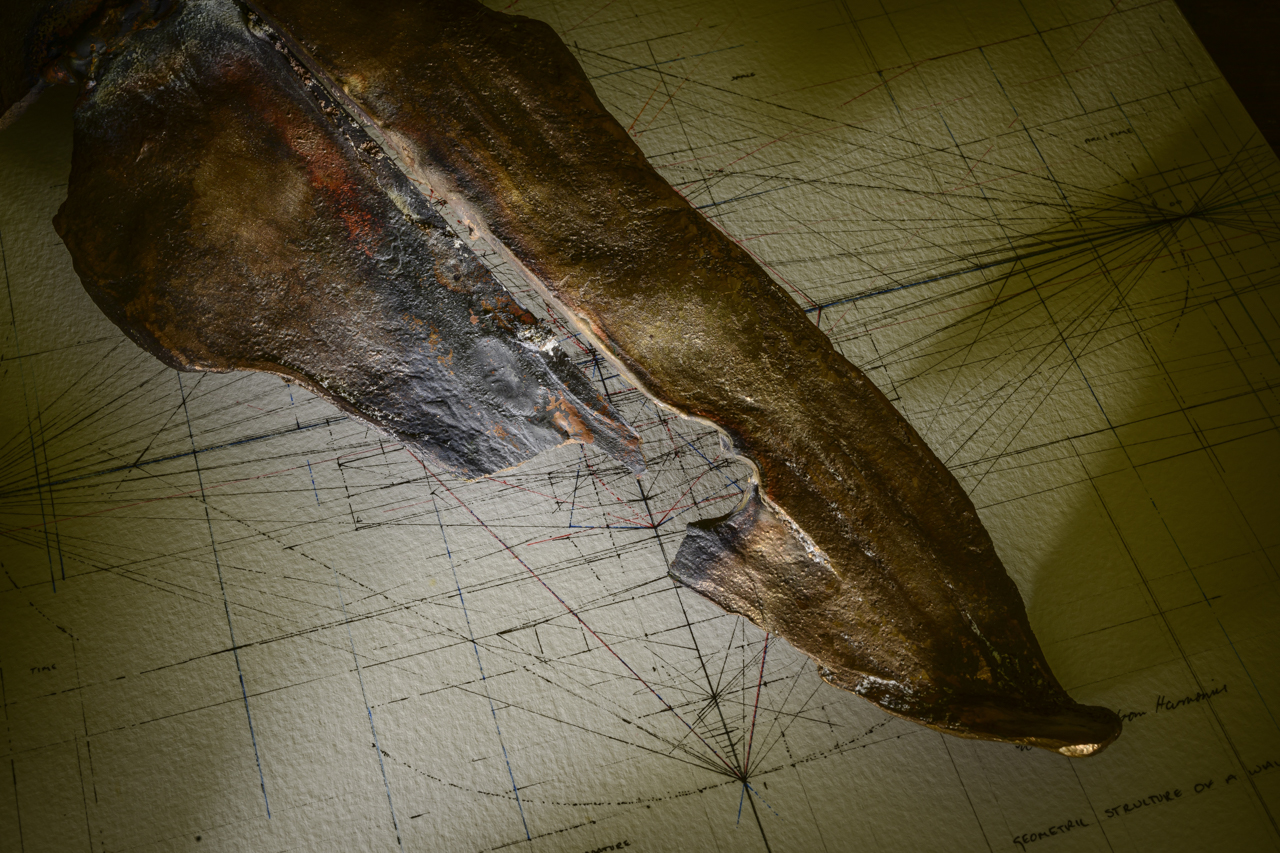 Sam Keil - Biography - Academic honours